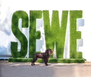 Southern Living - South Carolina